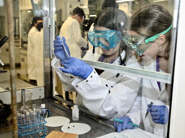 Gifted Education - Gifted and Talented Programs | Northwestern Center for Talent Development